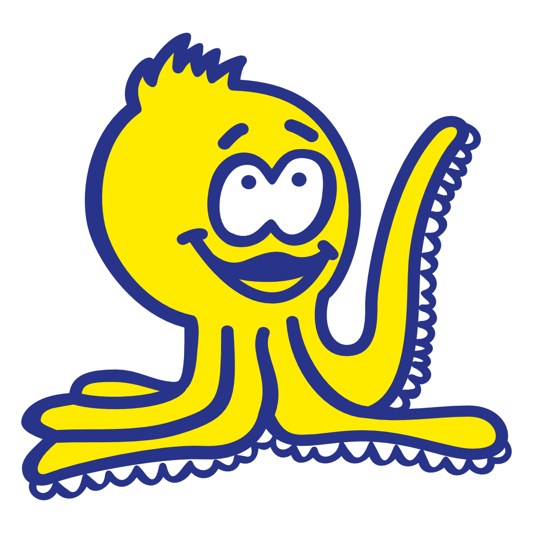 New Concisa US – Your best Octupus provider in America